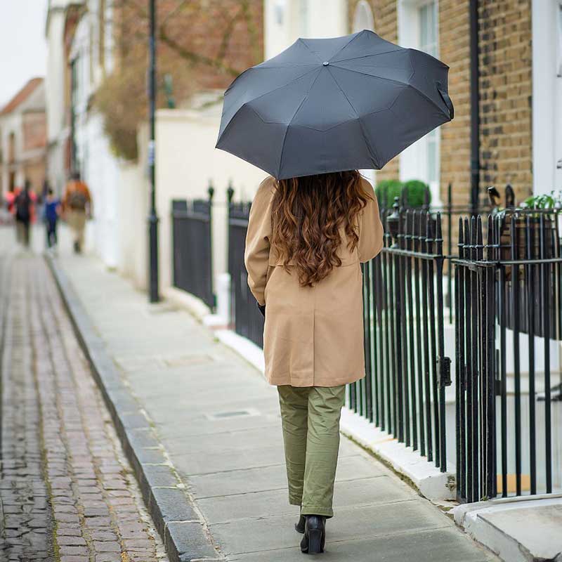 Ziggy Mini Compact Folding Umbrella - WalkingSticks.co.uk