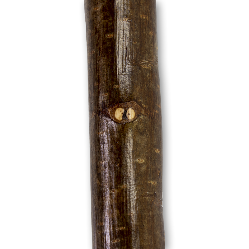 Thumb Sticks - WalkingSticks.co.uk