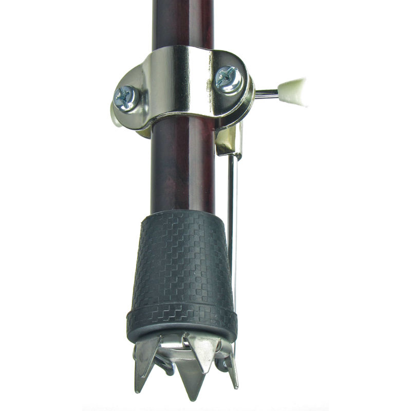 Light-Up Walking Sticks - WalkingSticks.co.uk