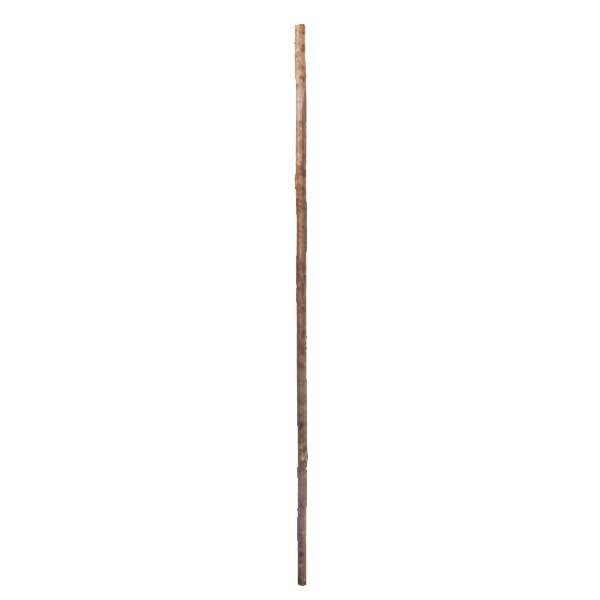 Unlacquered Hazel Fit Up Walking Stick - WalkingSticks.co.uk