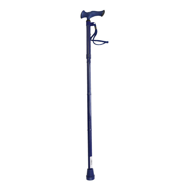 Ziggy Ergonomic Handle Walking Stick - WalkingSticks.co.uk