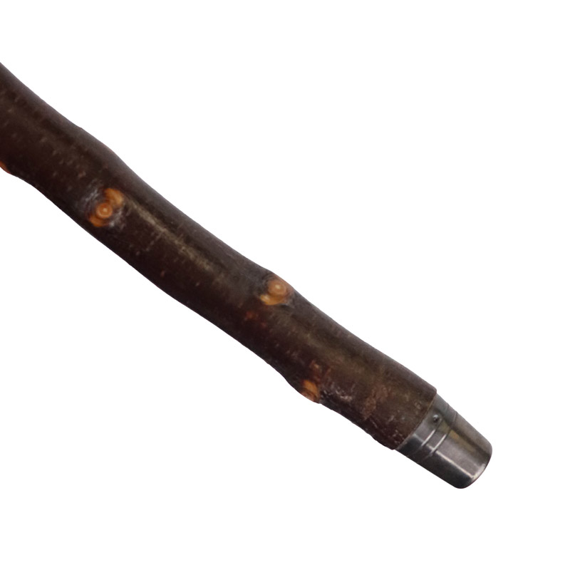 Black Labrador Handle Walking Stick - WalkingSticks.co.uk