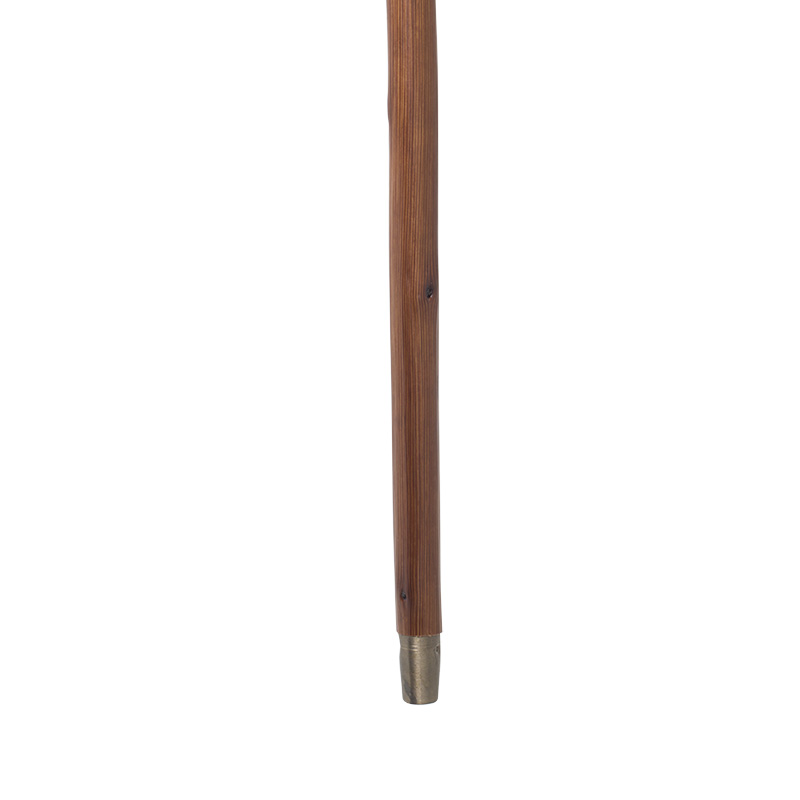 Crook Chestnut Children's Walking Stick - WalkingSticks.co.uk