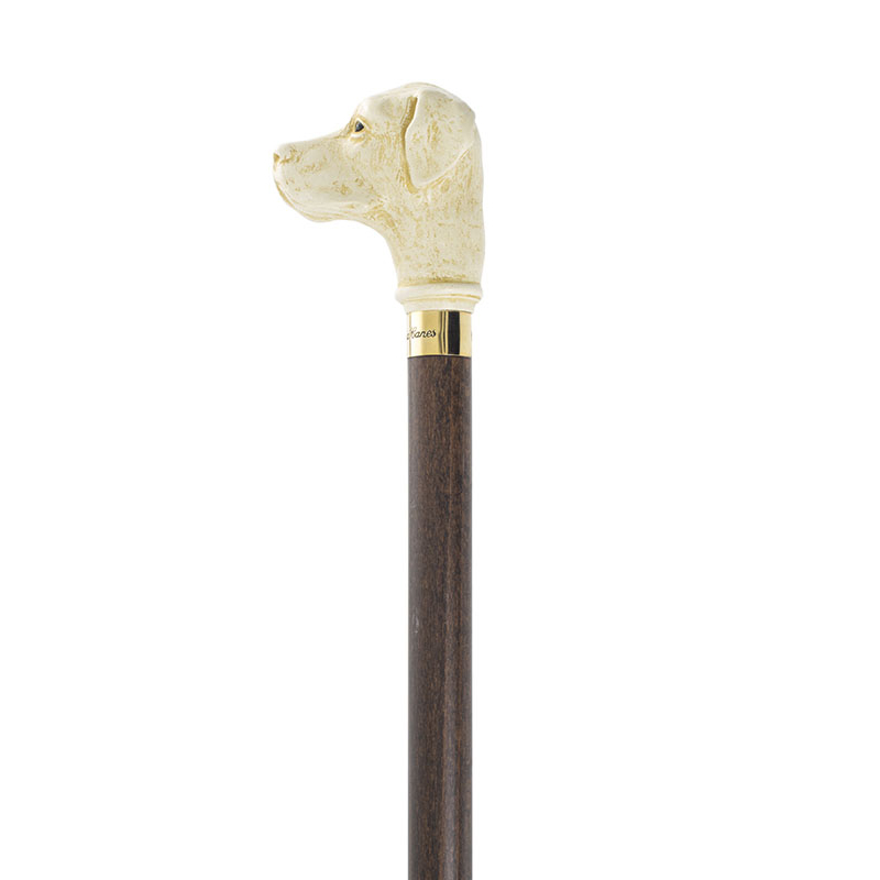 Imitation Ivory Labrador Hardwood Cane - WalkingSticks.co.uk
