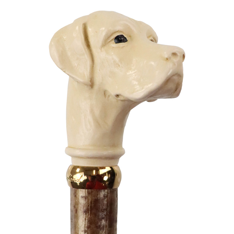 Labrador Handle Hazel Walking Stick - WalkingSticks.co.uk