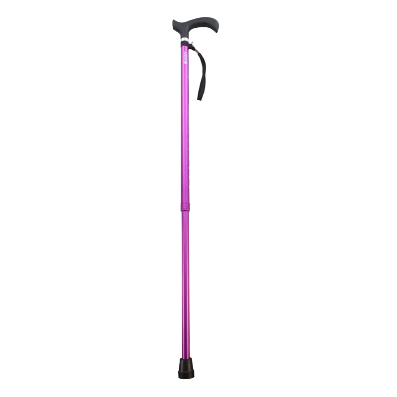 Metallic Purple Walking Stick - WalkingSticks.co.uk