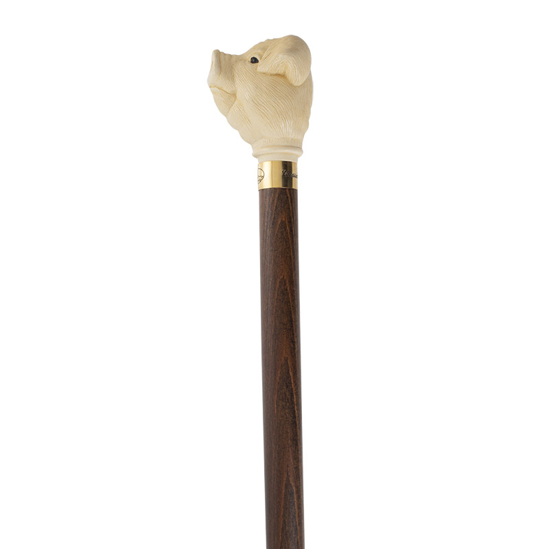 Imitation Ivory Pig Hardwood Cane - WalkingSticks.co.uk