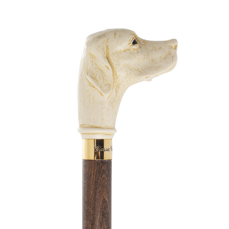 Imitation Ivory Pointer Hardwood Cane - WalkingSticks.co.uk