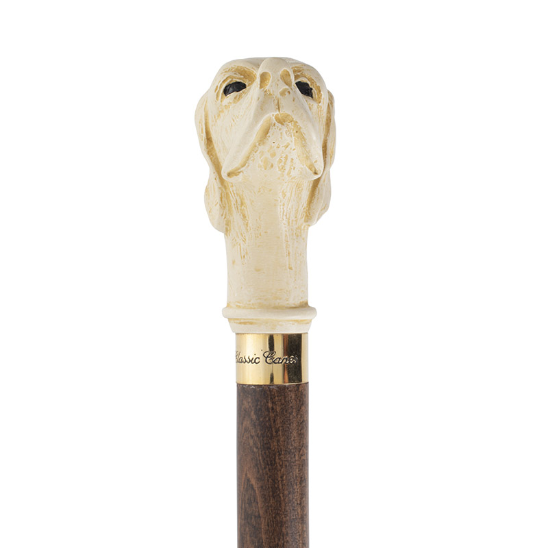Imitation Ivory Pointer Hardwood Cane - WalkingSticks.co.uk