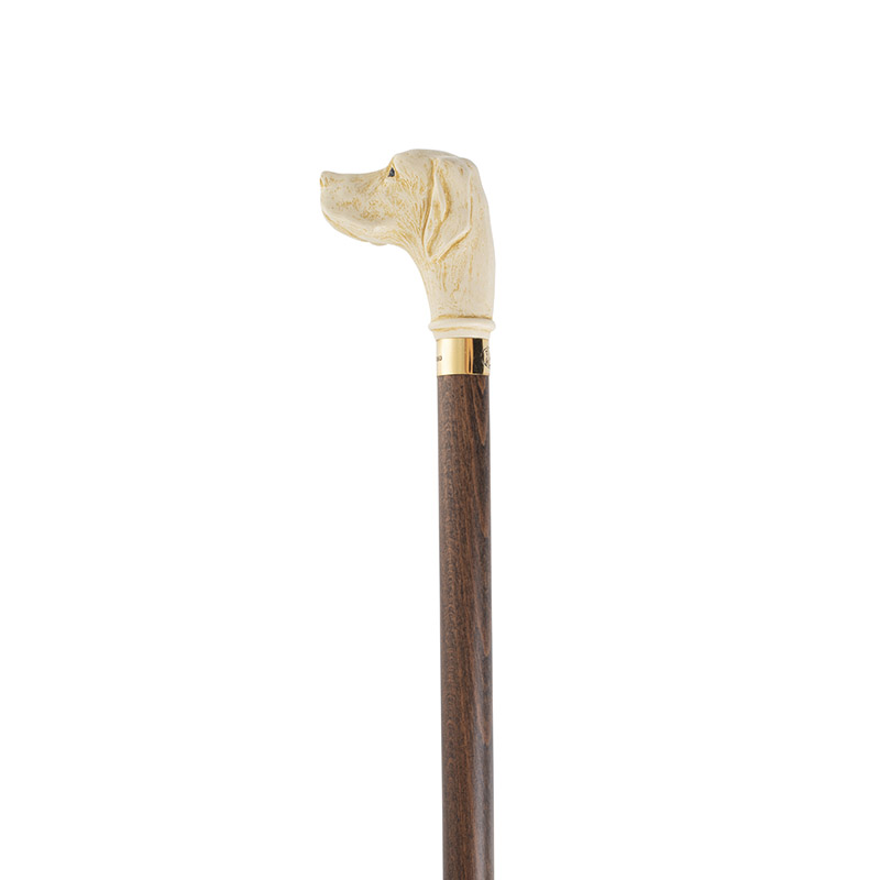 Imitation Ivory Pointer Hardwood Cane - WalkingSticks.co.uk