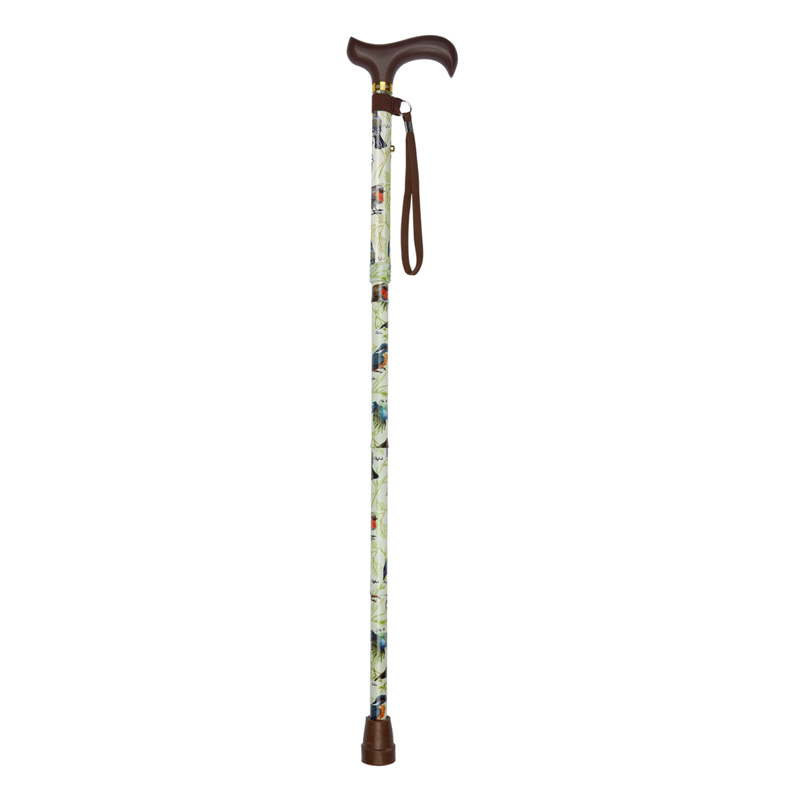 Ziggy Bird-Pattern Walking Stick - WalkingSticks.co.uk