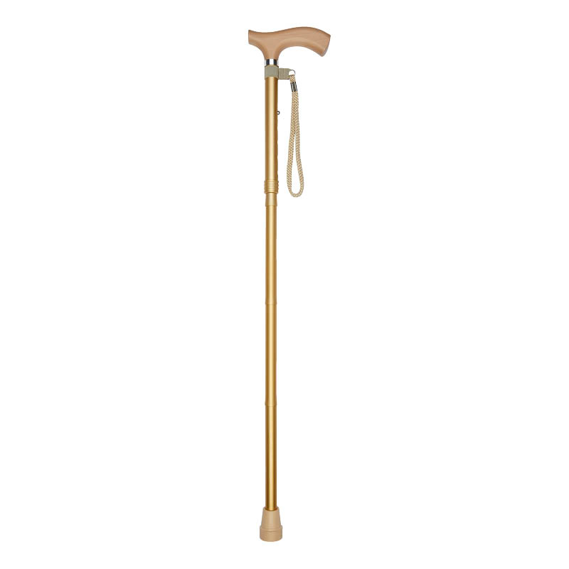 Ziggy Gold Metallic Walking Stick - WalkingSticks.co.uk