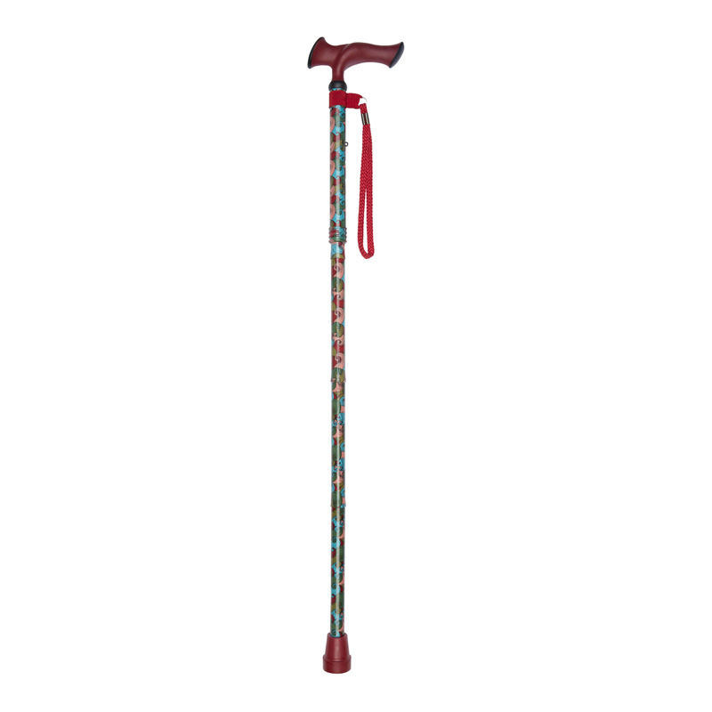 Ziggy Ergonomic Handle Walking Stick - WalkingSticks.co.uk