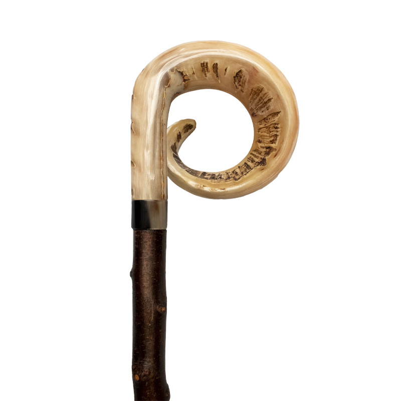 Blackthorn Walking Sticks - WalkingSticks.co.uk