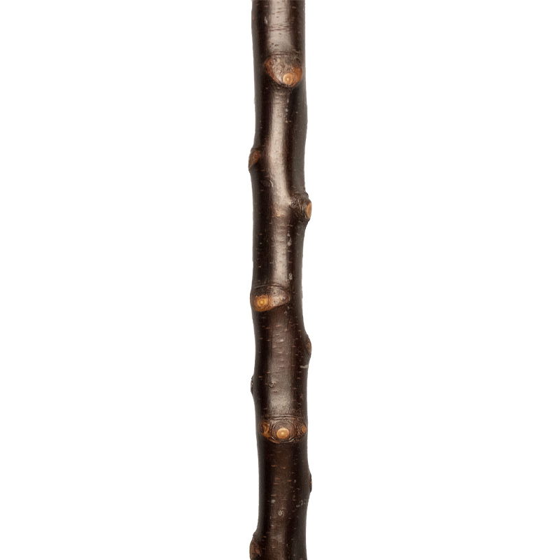 Blackthorn Walking Sticks - WalkingSticks.co.uk