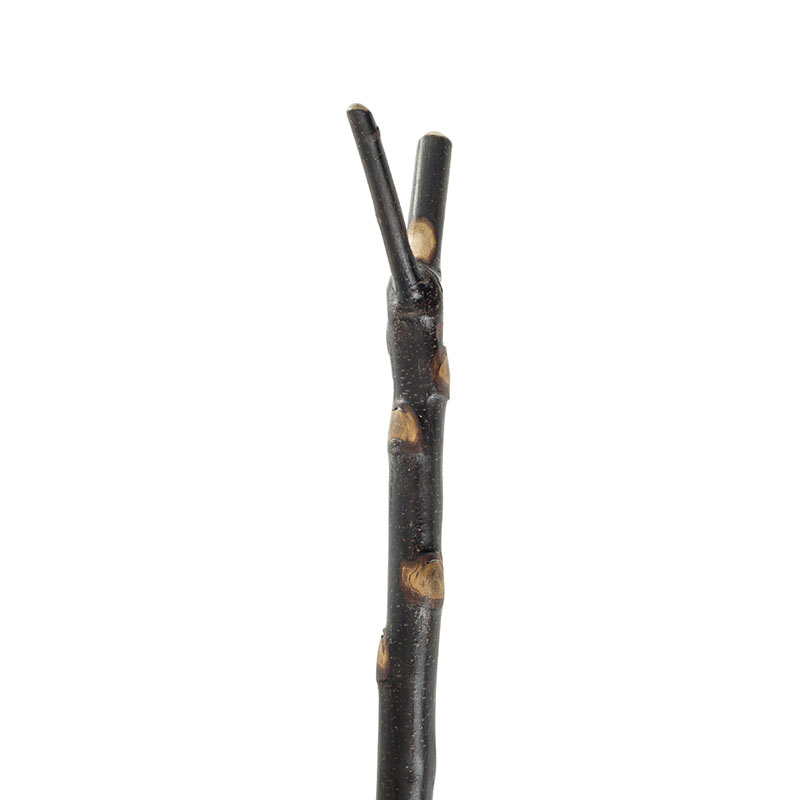 A Guide To Wooden Walking Sticks - WalkingSticks.co.uk