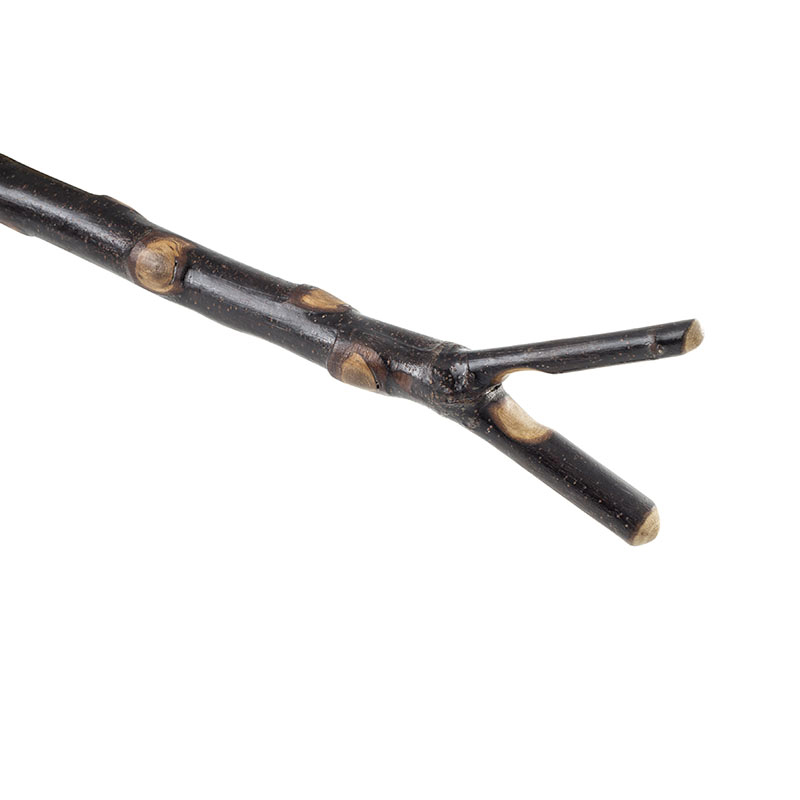 A Guide To Wooden Walking Sticks - WalkingSticks.co.uk