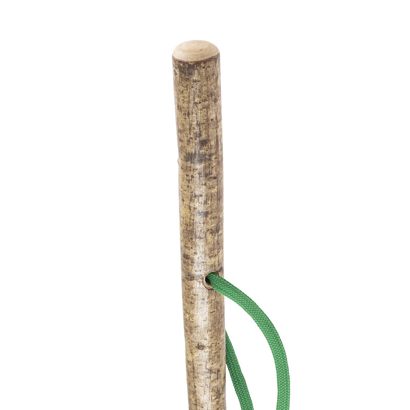 Hazel Walking Sticks - WalkingSticks.co.uk