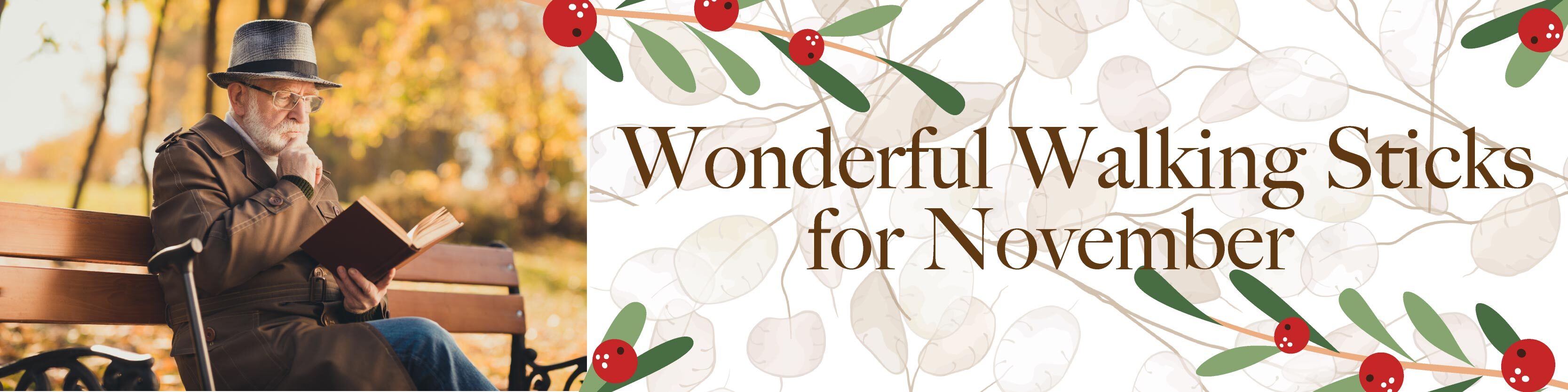 Wonderful Walking Sticks for November 2026 - WalkingSticks.co.uk